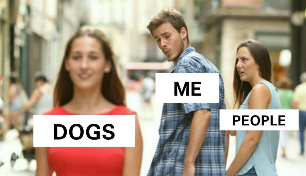 Los principales memes de 2017 | Fotogalería | Tecnología | LOS40