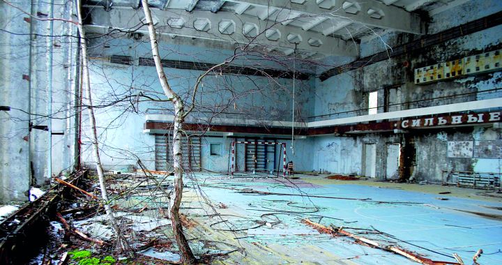 ¿Cómo sería el mundo sin nosotros, los humanos? | Actualidad | LOS40